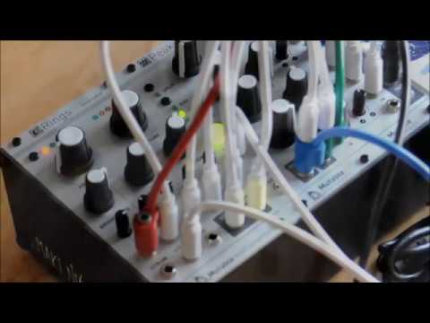 Mutable Instruments Veils iMuso