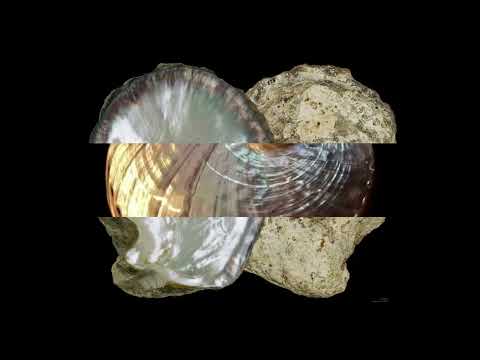 Mother of Pearl Meaning