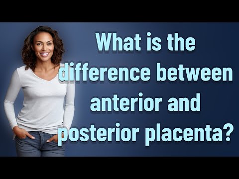 What is the difference between anterior and posterior placenta?