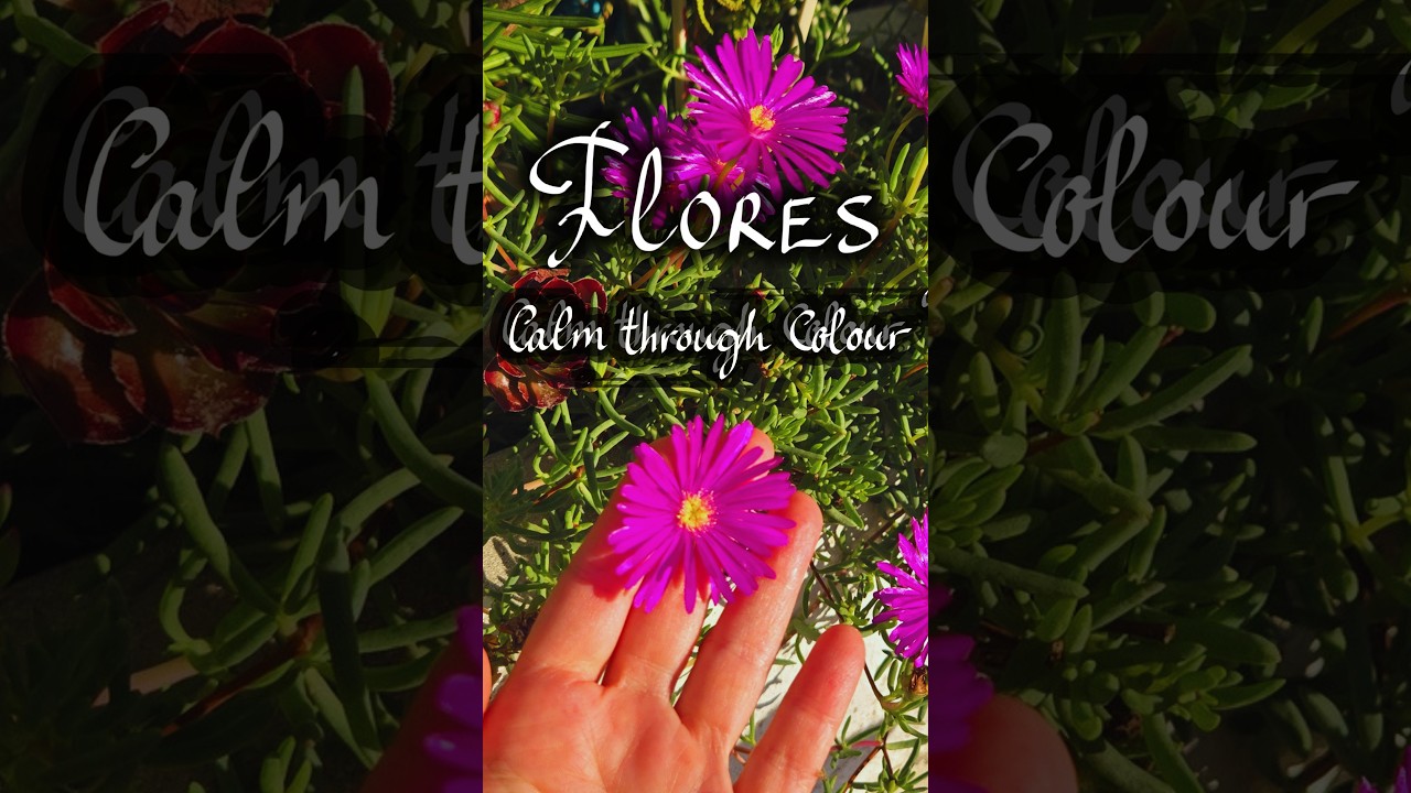Pure Nature ASMR with flowers · 4K