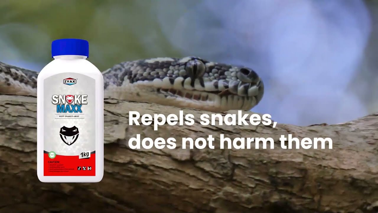 Zyax's Snake Maxx - India's First Non-Toxic, Biodegradable, Herbal & Pet-Friendly Snake Repellent