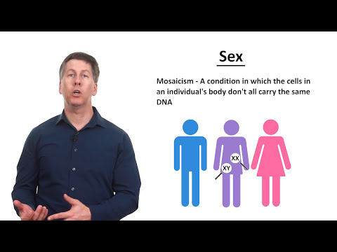 Sex, Gender, and Sexuality - Explained