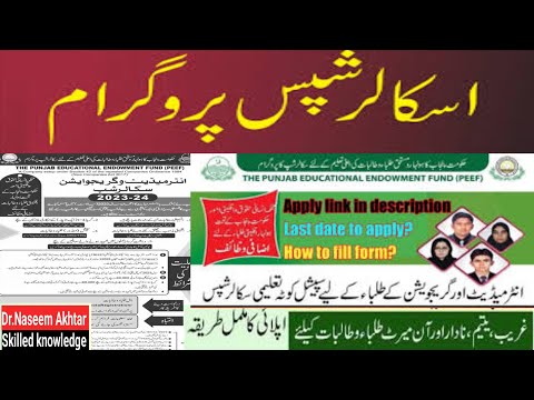 Punjab Education Endowment Fund (PEEF)|| How to Apply for PEEF Scholarship