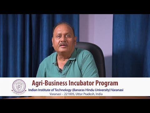 What is RKVY Raftaar Agri Business Incubator Program?