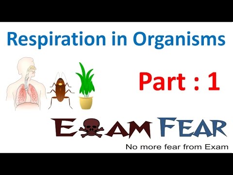 Introduction(Types Of Respiration). Video Lecture - Class 7