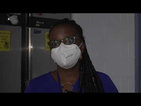 BronxWorks Food Pantry Struggles to Keep Up with Demand, Protect Volunteers (NY1)