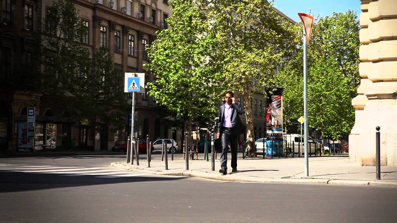 Mobileye Pedestrian Alert 