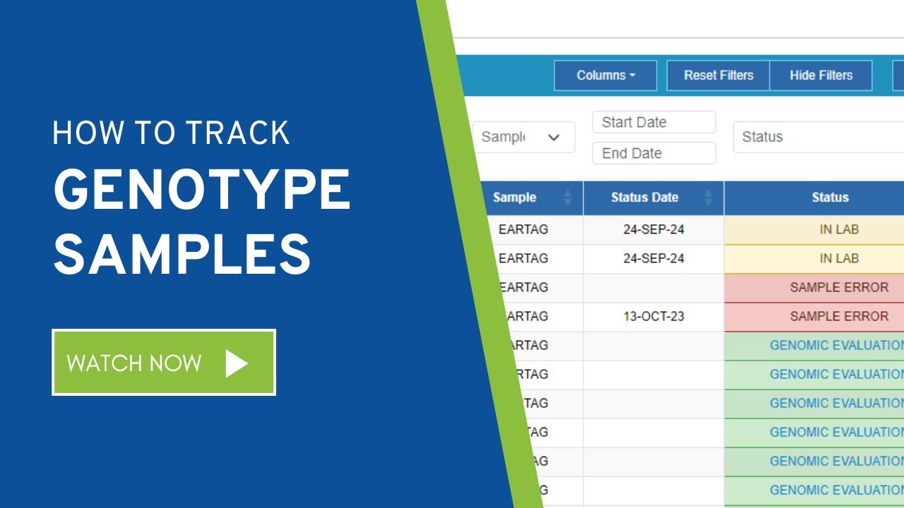 How to track your genotype samples on ICBF