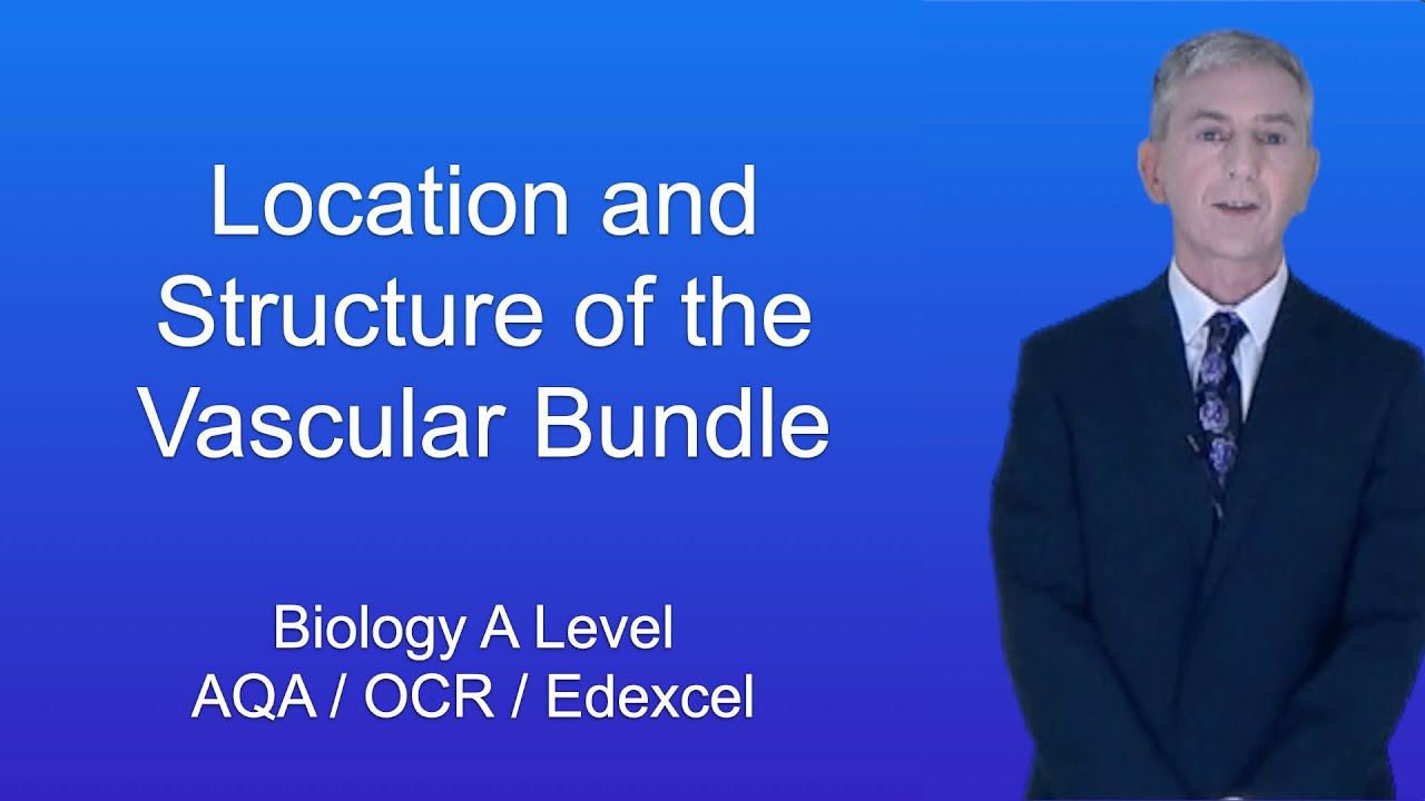 A Level Biology 
