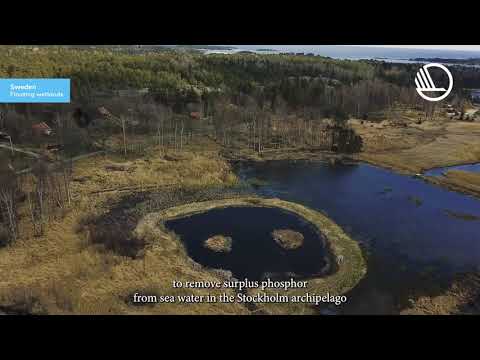 The NBS pilot studies – Nordic NBS