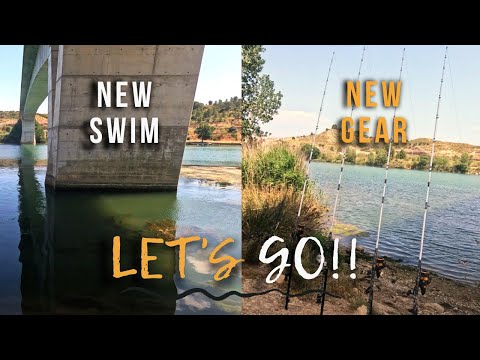 SUMMER OF THE CATFISH. LET'S GO!!! CARP & CATIFISHING ON THE EBRO!