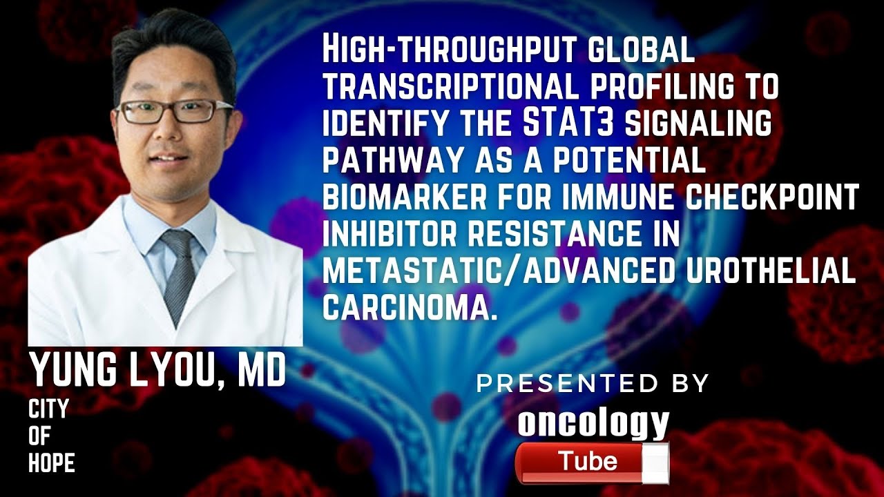High-throughput global transcriptional profiling to identify the STAT3 signaling pathway