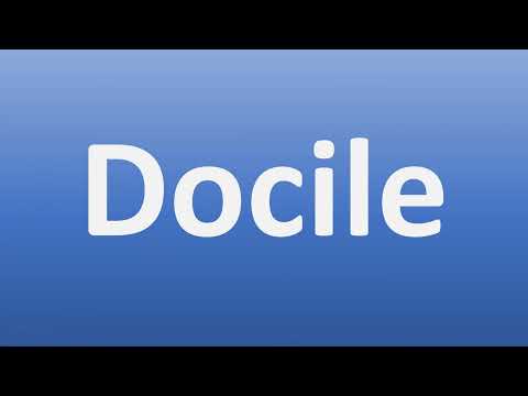 How to Pronounce Docile? (CORRECTLY)