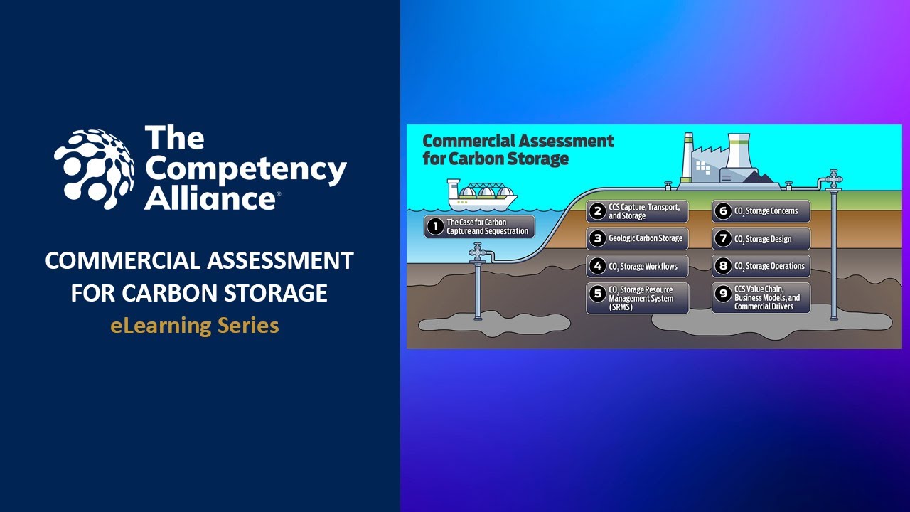 Commercial Assessment of Carbon Storage
