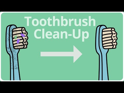 Learn How To Clean Your Toothbrush In 6 Simple Steps | homify