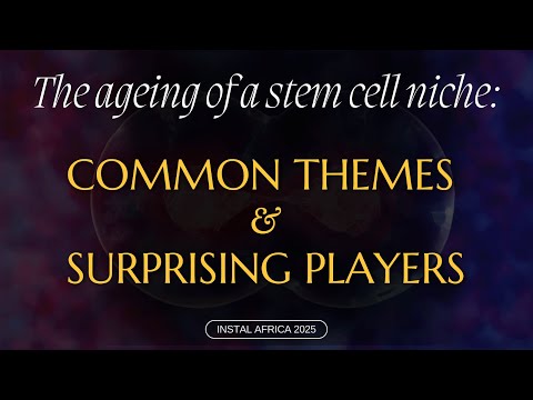 The Ageing of a Stem Cell Niche: Surprising Discoveries & Common Themes in Developmental Biology
