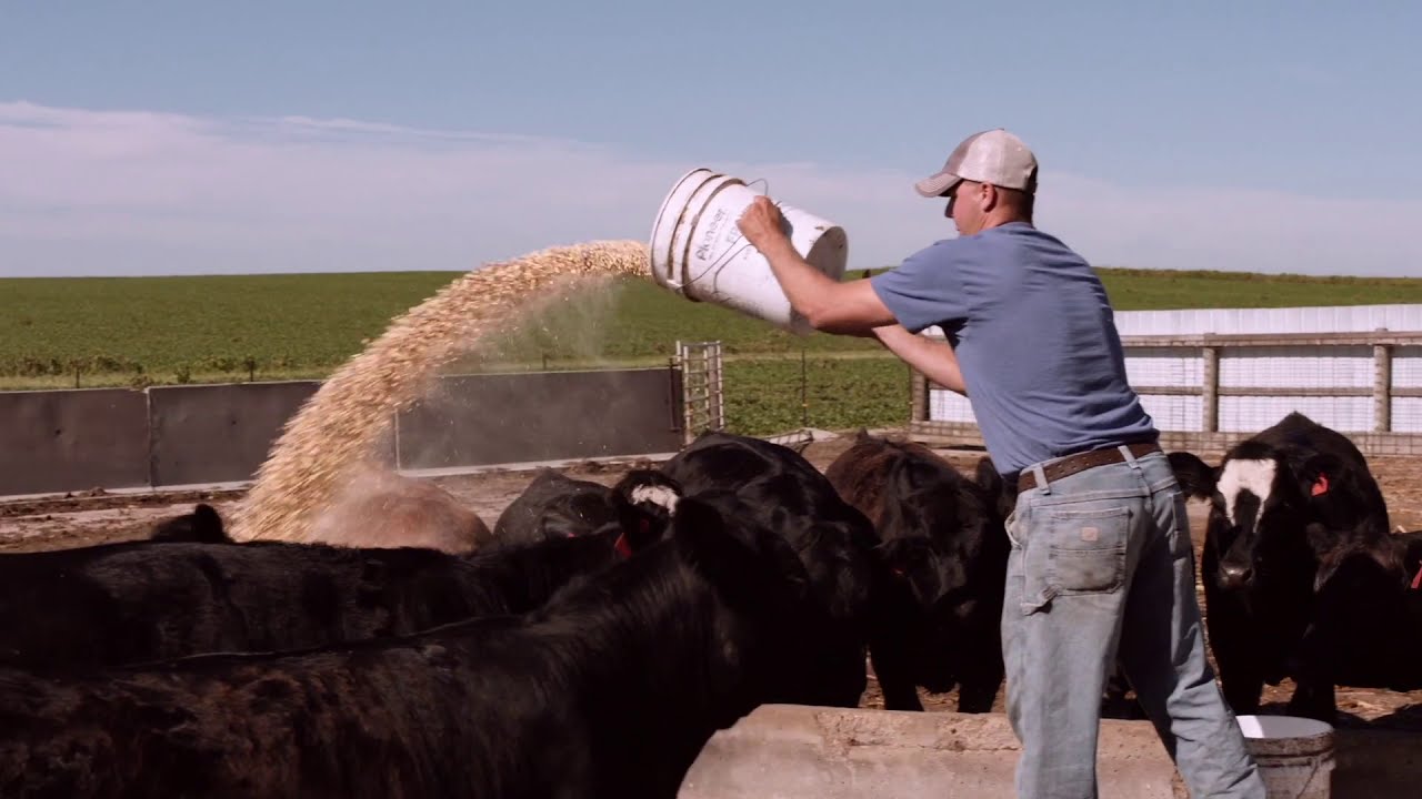 2021 BIF Annual Meeting & Research Symposium Invite