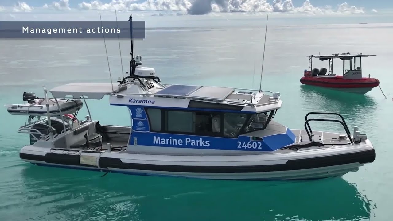 Who is the Reef Authority?