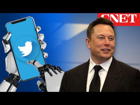 Elon Musk vs. Twitter Bots: Why It's a Problem