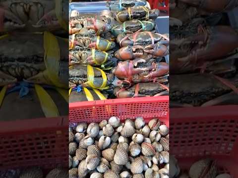 Frozen Sea Foods - Wholesale Price & Mandi Rate for Frozen Sea Foods in ...
