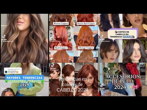 Trends 2024 by Eduardo Trevino/ Multimedia Expert