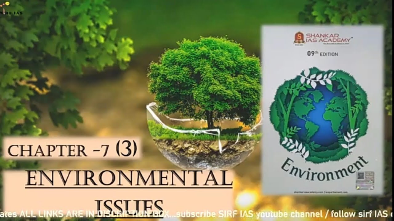 Understanding Environmental Issues: The Impact of Palm Oil Production ...