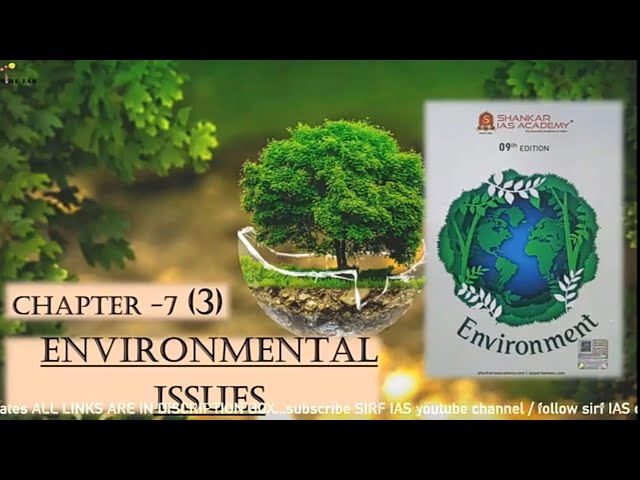 Understanding Environmental Issues: The Impact of Palm Oil Production | Galaxy.ai