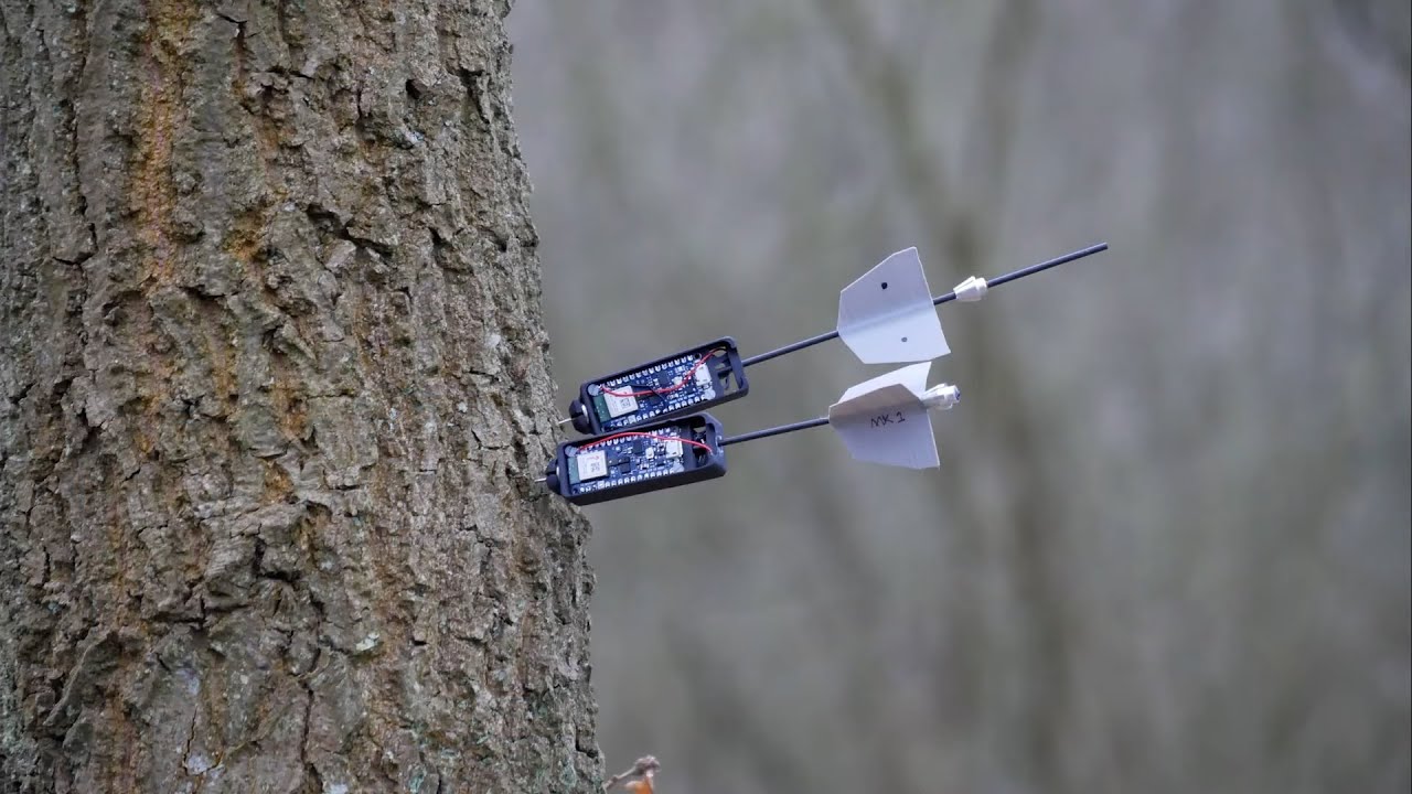Fleets of AI drones are helping protect our forests and much more