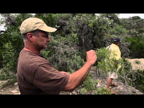 Land Conservation