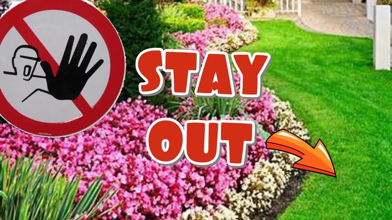How to kill & Prevent Bermuda Grass and Weeds in Flower Beds for Beginners