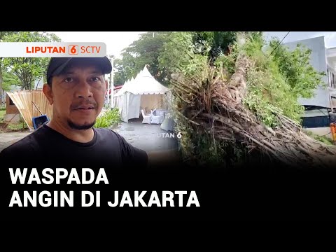 Waspada Angin di Jakarta | Lipuatn 6 Siang