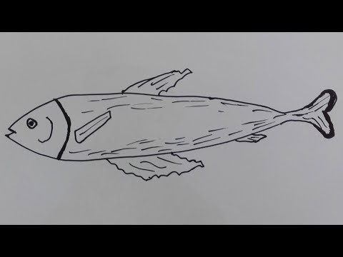 How to draw Tuna fish-tuna drawing easy-yellowfin tuna drawing – How To ...