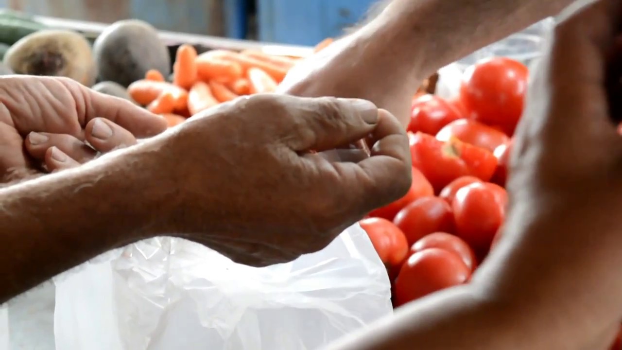 From Farm to Table: Serbia's Local Food System