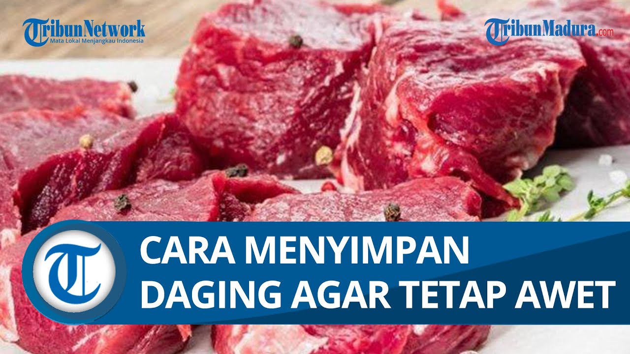 Jangan Dicuci! Inilah Cara Menyimpan Daging Kurban Agar Tetap Awet dan ...
