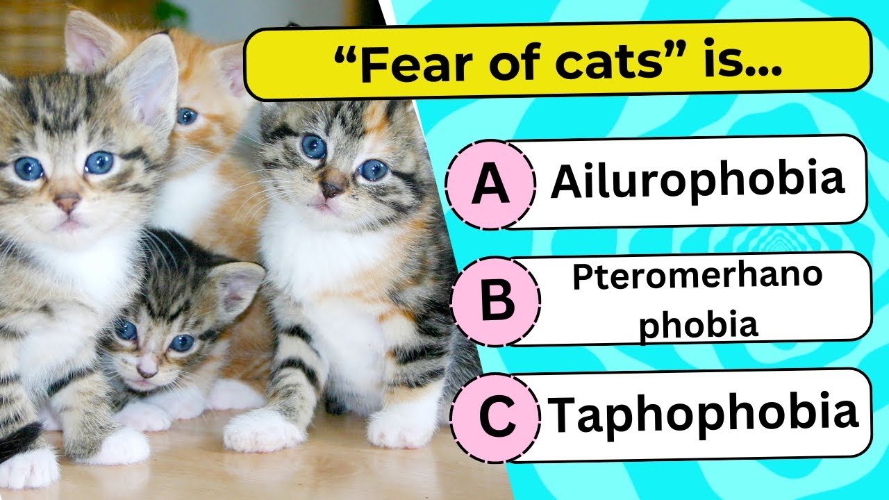 Phobia Quiz!🧠📚 General Knowledge Quiz! Can You Identify These 30 Common Phobias? Ultimate Fear Quiz!