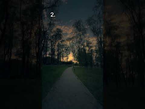which path would you take? #shortvideo #shorts #aesthetic #runaway #taking #travel #viralvideo
