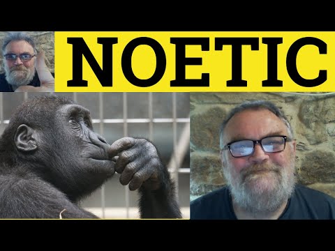 🔵 Noetic Meaning - Noetic Examples - Noetic Defined - Formal Vocabulary - Noetic