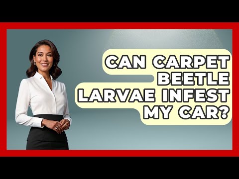 Can Carpet Beetle Larvae Infest My Car? - Insects and Invaders