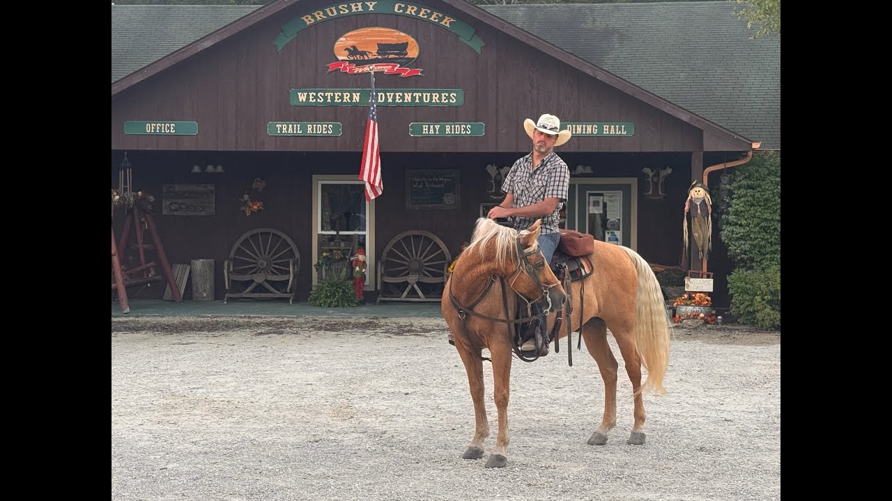 Gaited Ranch & Pleasure Horses @ Brushy Creek Lodge Black MO