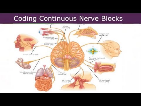 Medical Coding Tutorial — How To Code Continuous Nerve Blocks