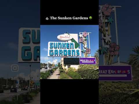 Ten Unique Things to St. Pete, Florida!!! ☀️🌃