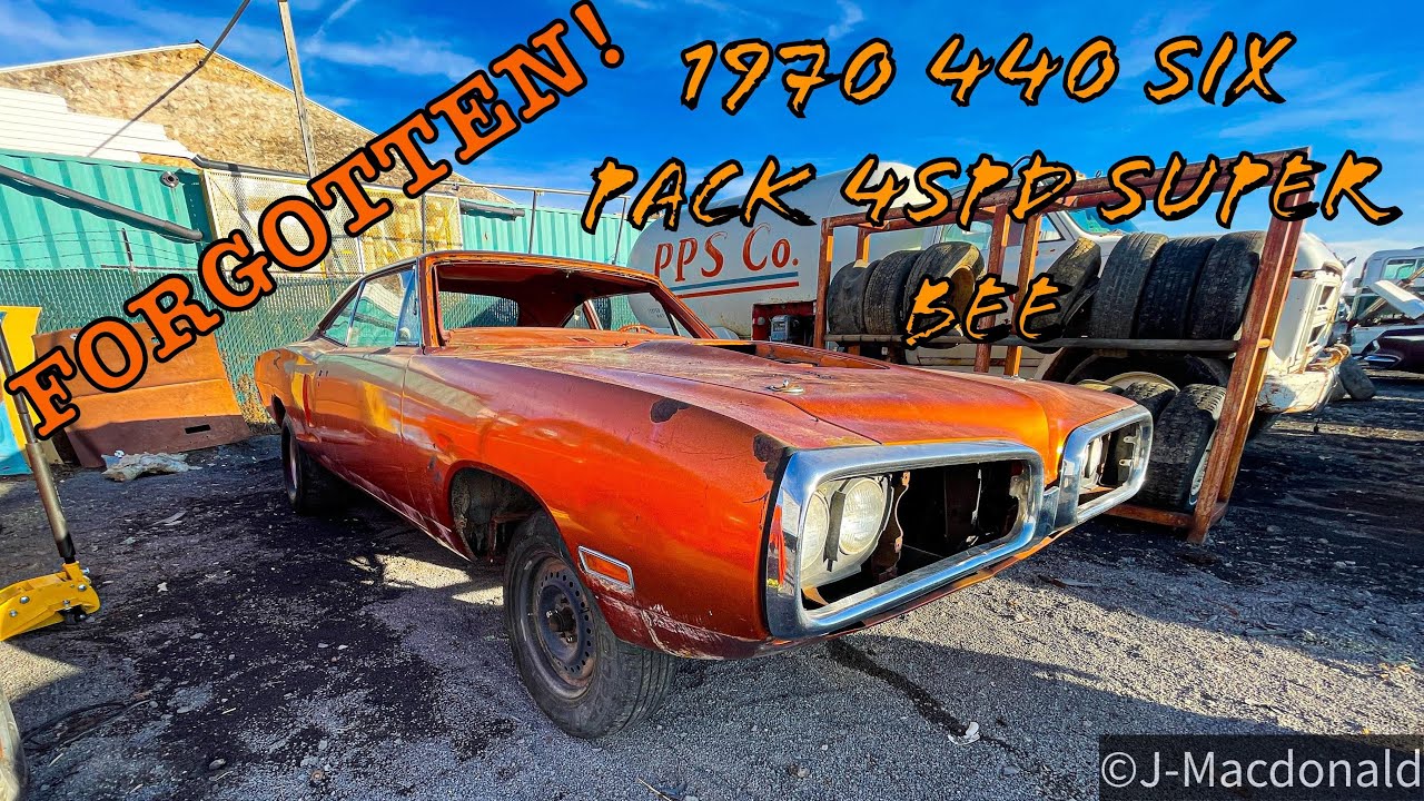 Extremely Rare 1970 Dodge Super Bee Spent Decades in a Backyard, Gets ...