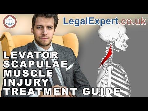Levator Scapulae Muscle Injury Treatment Guide ( 2019 ) UK