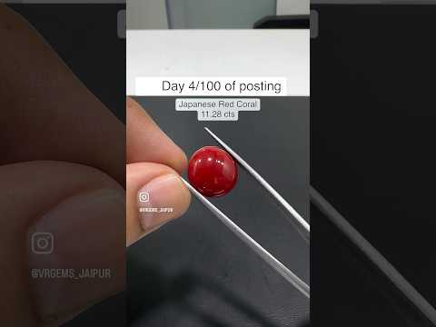 Day 4 of 100 Red Coral Munga #italian #japanese #taiwanese #sardinia #algeria #morocco #gemstones