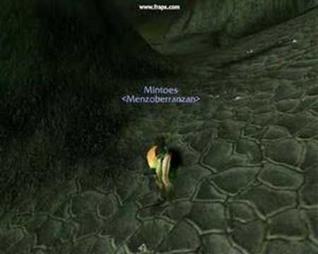 Introducing Mintoes