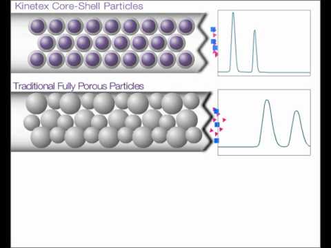 hplc column liquid chromatography