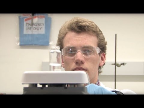 Mentored Undergraduate Research