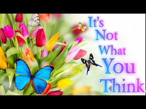 Spring And Spring Cleaning 2021- Spiritual Meaning And Significance