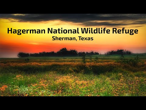 Hagerman National Wildlife Refuge 🦅 🐺