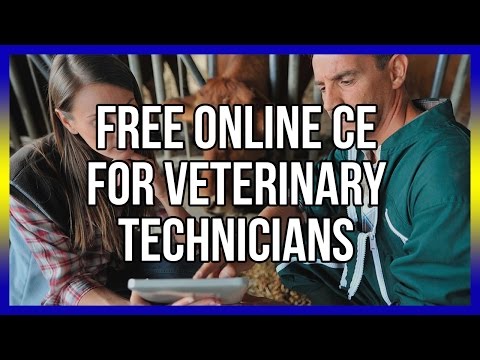 Free online CE for veterinary technicians – Veterinary Continuing Education